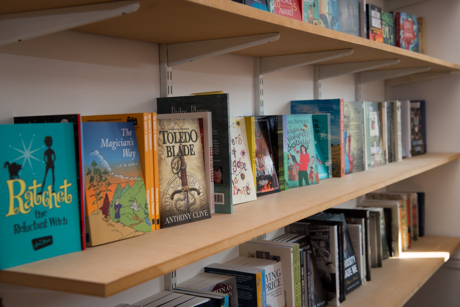 New Titles – Browndogbooks.uk