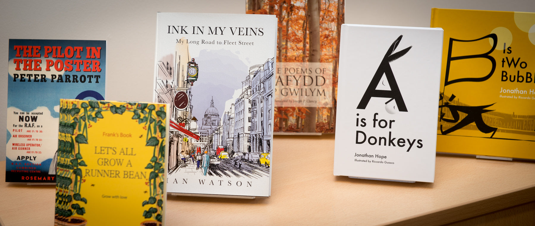 Browndogbooks.uk